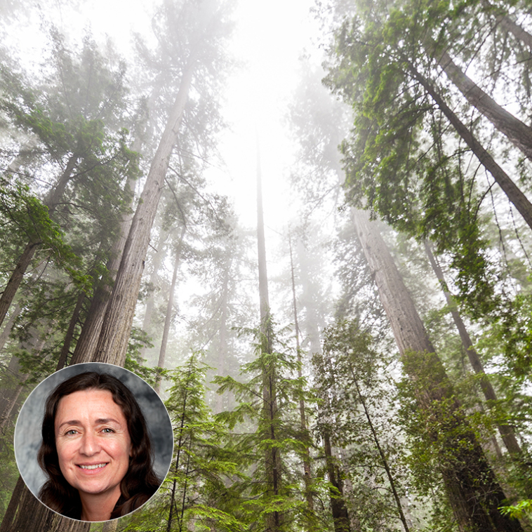 Growing Vocabulary to Improve Content-Area Reading and Writing ...