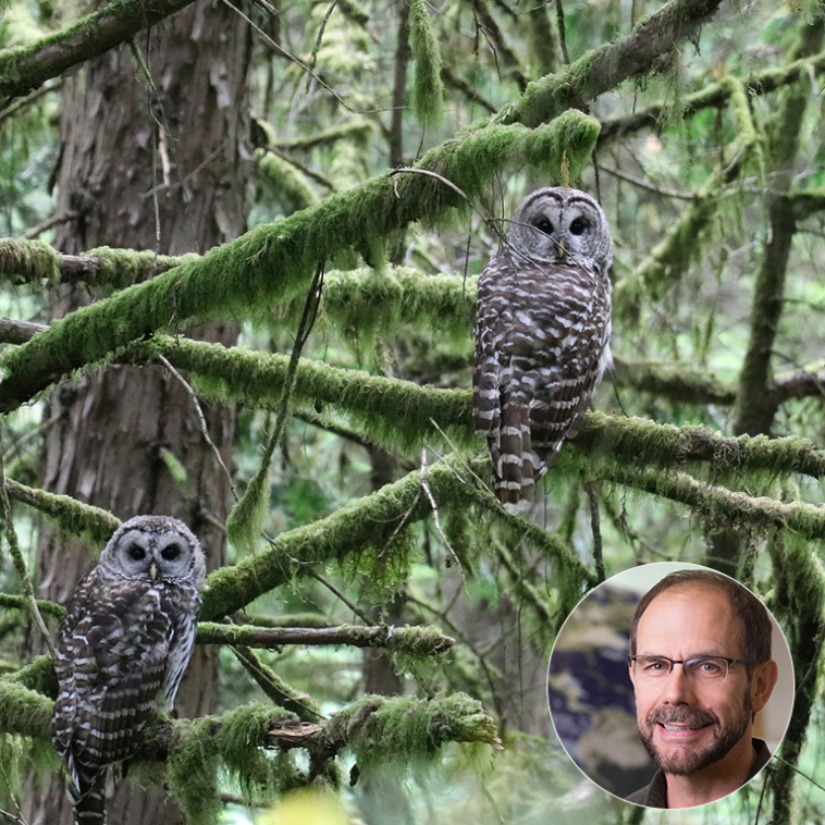 The Nature of Science in YOUR Classroom - Explore Inside