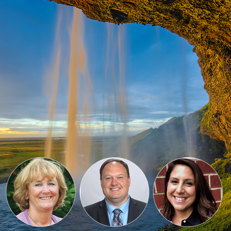 Fostering meaningful mathematics: Learning through a virtual experience ...