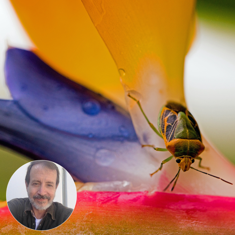 Real-World Projects Using Adobe Software - Explore Inside