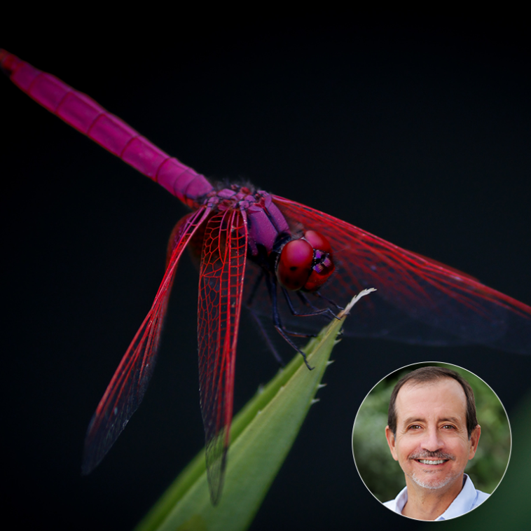 The New Adobe Photoshop Revealed - Explore Inside