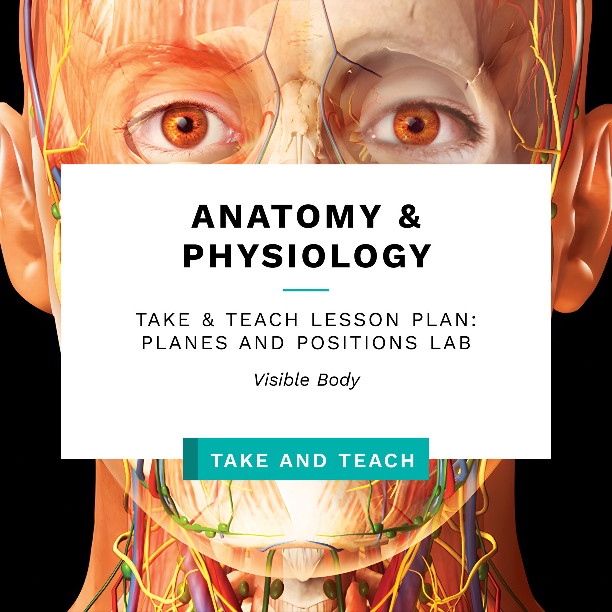 Take & Teach Lesson Plan: Anatomy Planes and Positions Lab – Explore Inside